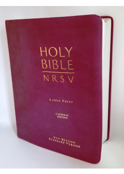 New Revised Standard (NRSV) - Bibles - Books | Pauline Books and Media